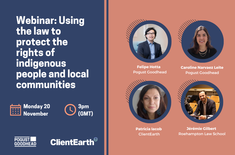 Using the law to protect Indigenous rights - Pogust Goodhead